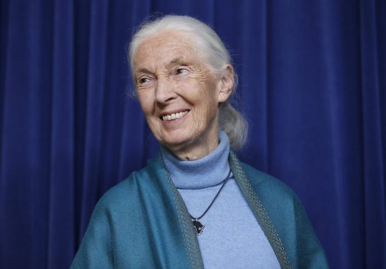 Canada Mourns Jane Goodall, a Tireless Guardian of Nature ...