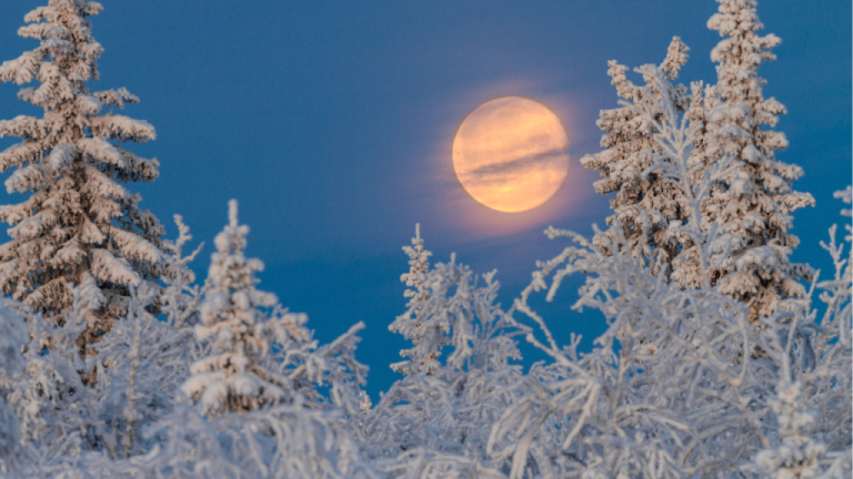 ‘Cold Moon,’ Final Supermoon of 2025, to Light Up Ontario Skies in ...